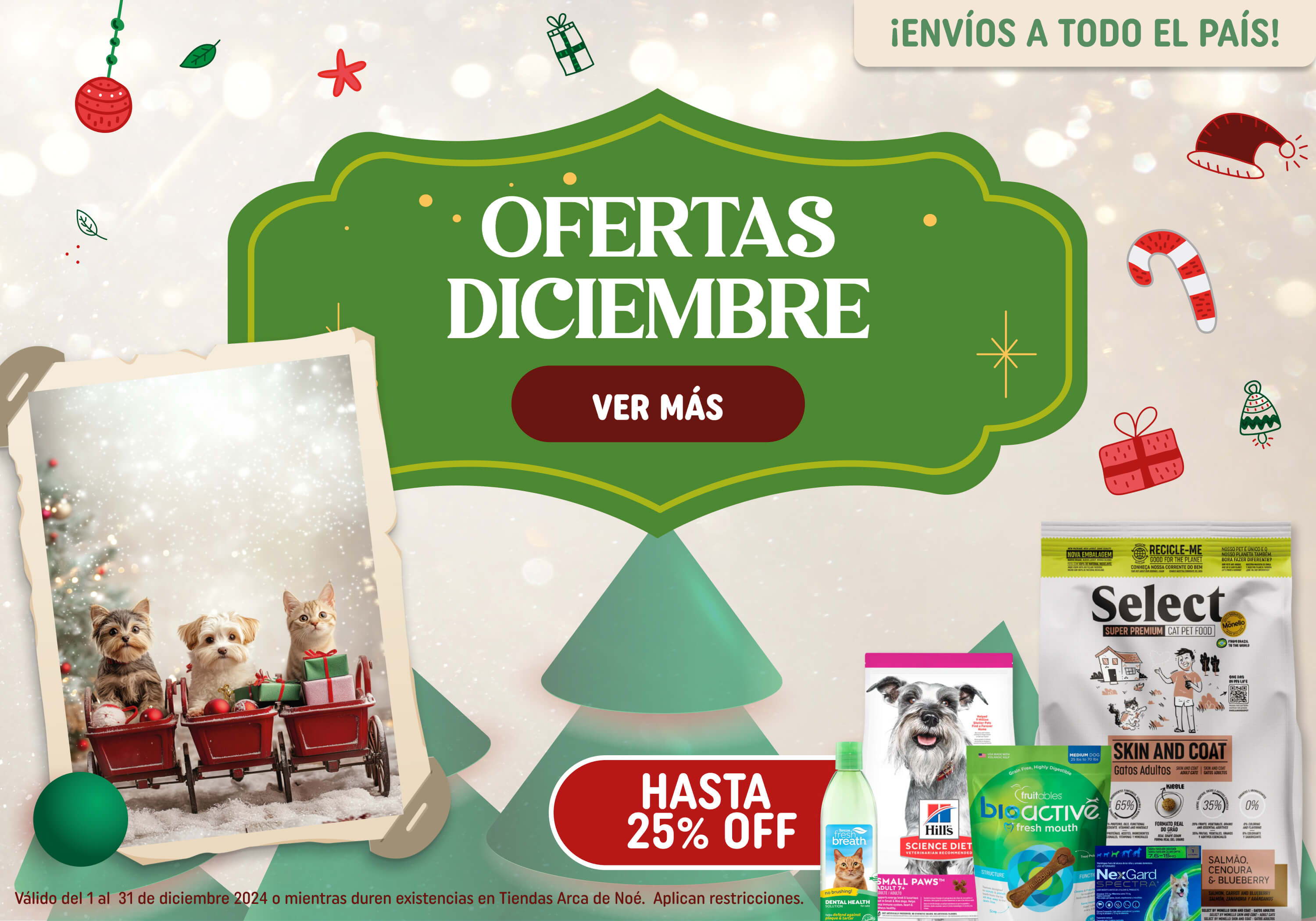 Arca De Noe – Arca de Noe